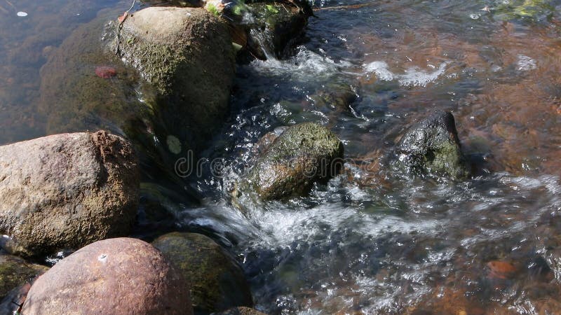 Flowing Stream Water through Rocks Stock Video - Video of fresh, green ...