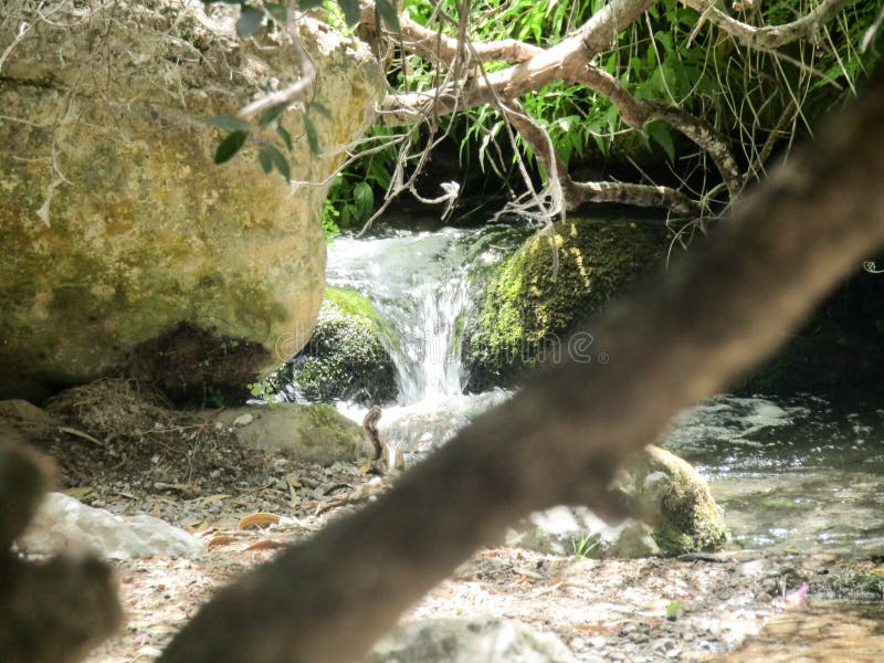 Stream of water stock image. Image of cloud, recreation - 124582453