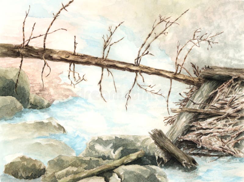 Stream and dead tree stock illustration. Illustration of dead - 245965518