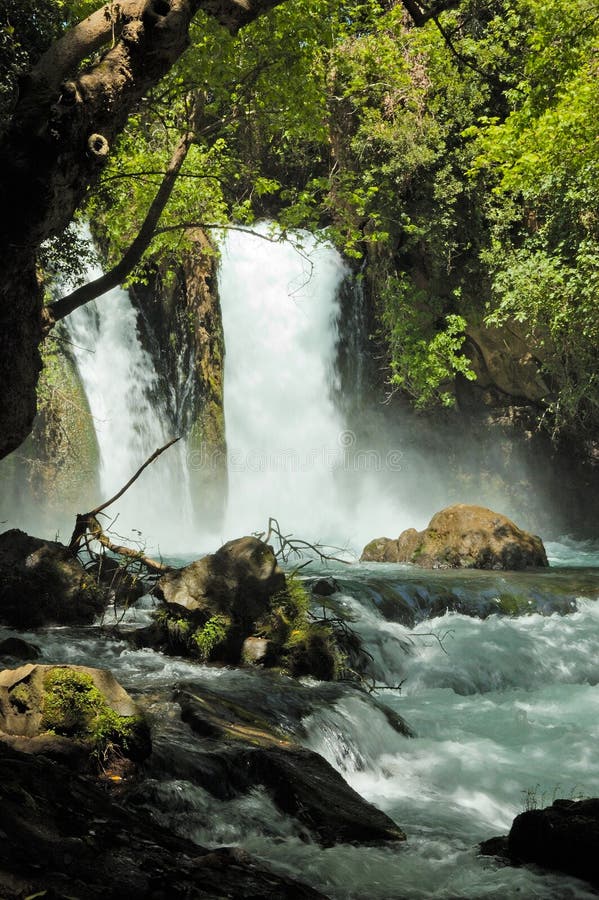 Stream and waterfall stock photo. Image of freshness, green - 2330334