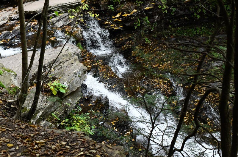 Stream with Waterfall in Autumn Stock Image - Image of landscape, falls ...