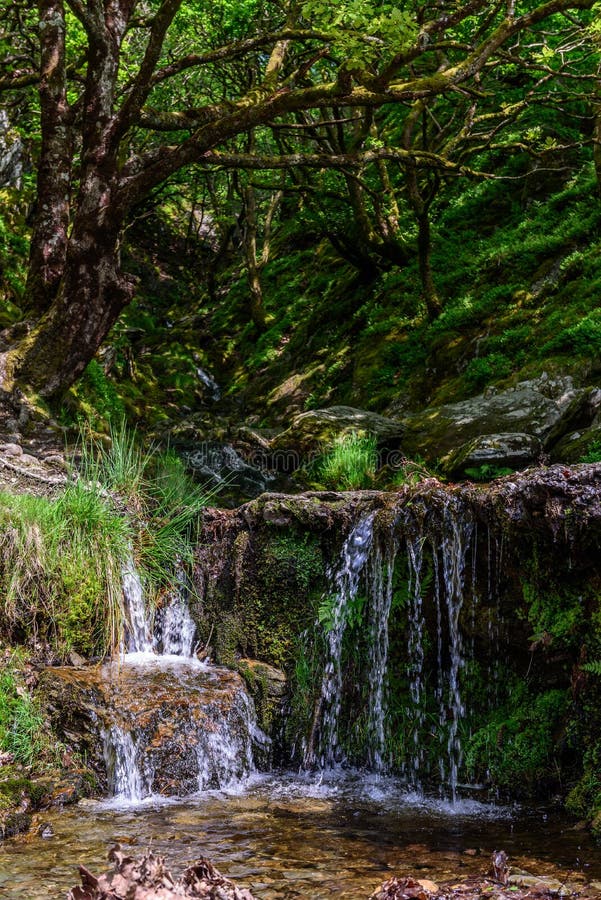 Stream Waterfall in the Elan Valley Stock Photo - Image of powys ...