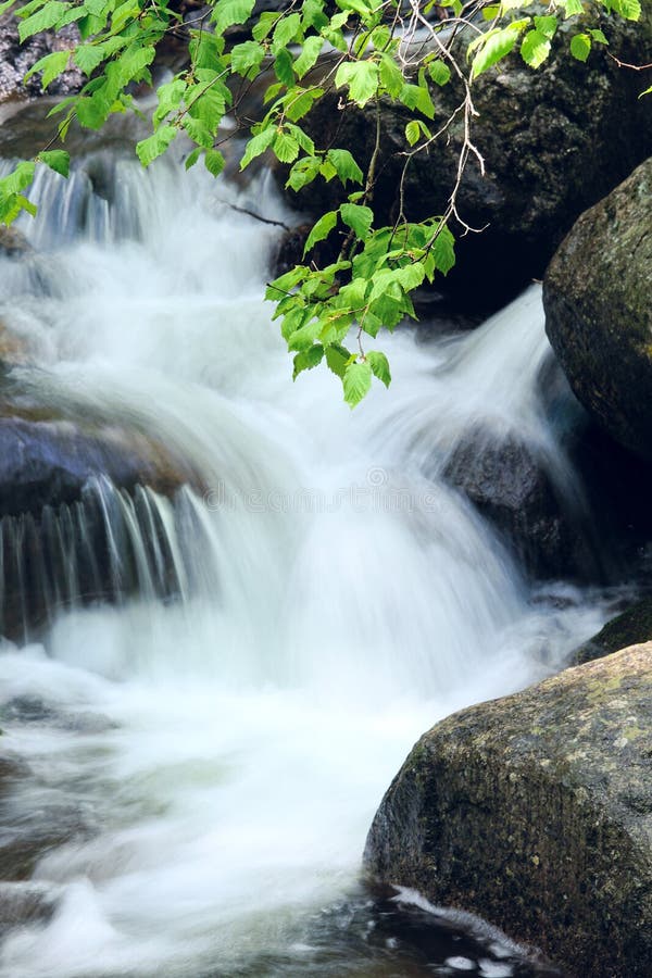 Stream waterfall stock photo. Image of water, waterfall - 48091832