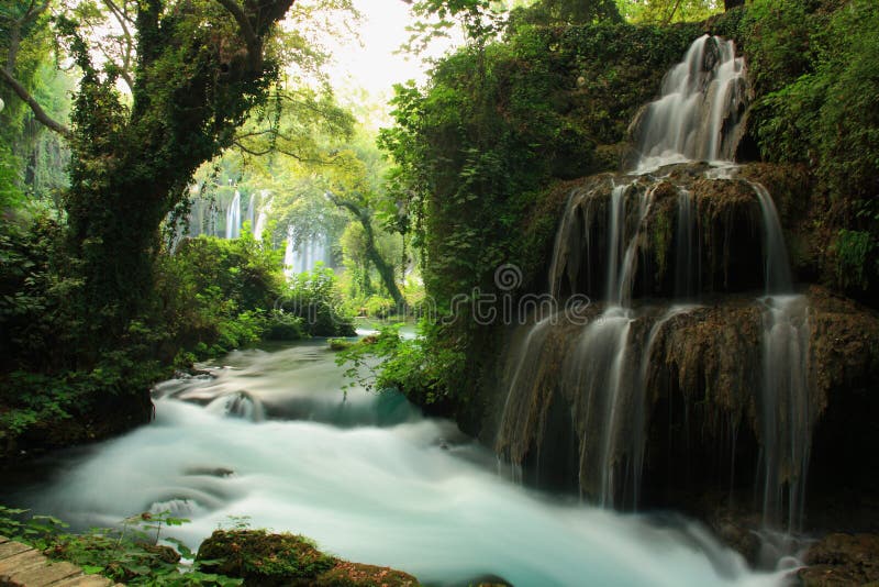 Stream and Waterfall Landscape with Big Tree on it Stock Photo - Image ...