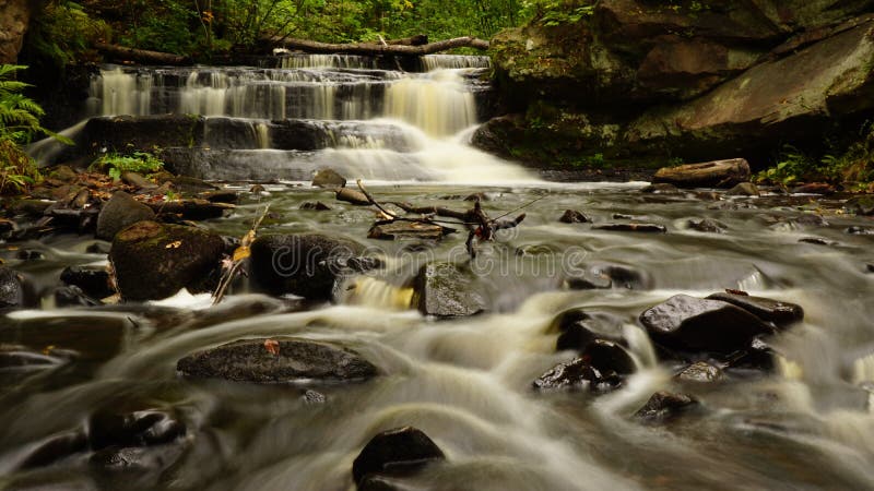 Stream with Waterfalls Running through a Forest Stock Photo - Image of ...