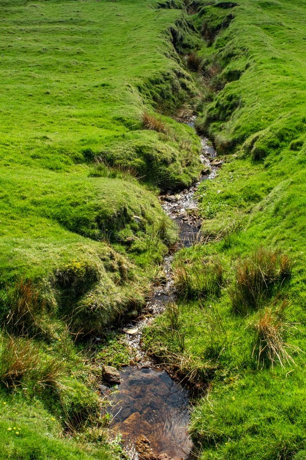 Stream Winding through Lush Green Fields Stock Photo - Image of scenic ...