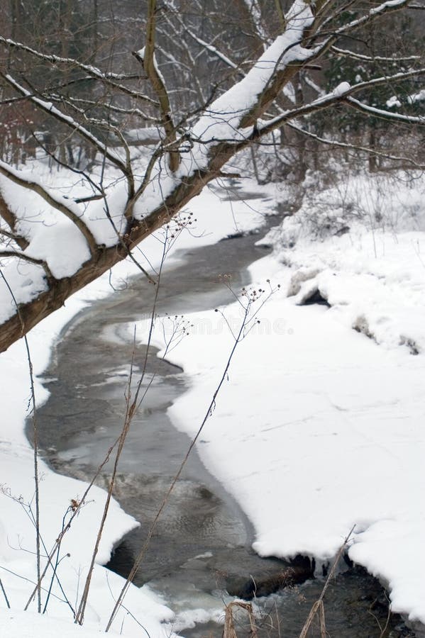 Stream in Winter stock photo. Image of frozen, snow, winter - 55132