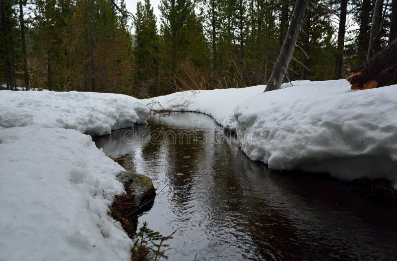 Stream in Winter during a Rain Storm with Snow on the Banks in T Stock ...