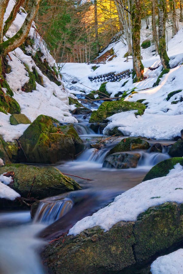 Stream in the wood stock photo. Image of snow, uncontaminated - 32064676