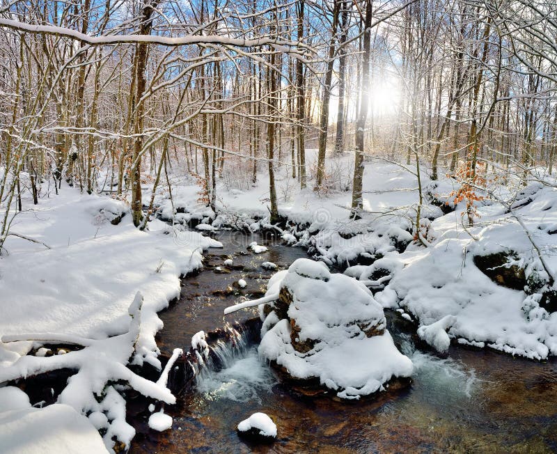 Stream in the Wood in Winter Stock Photo - Image of light, rocks: 75548936