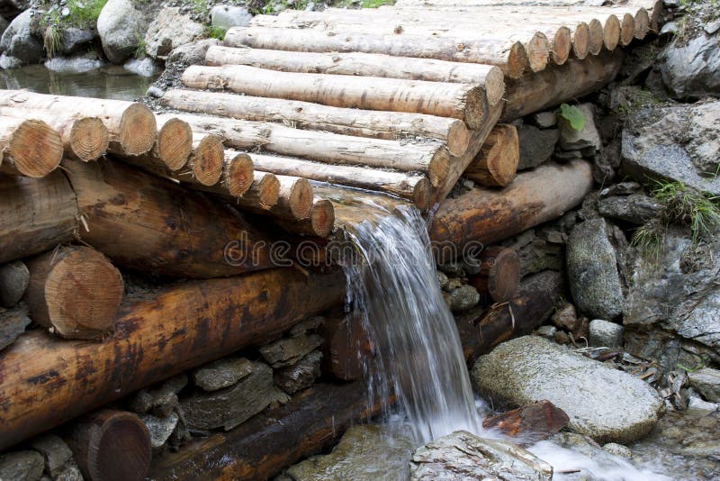 Stream in the woods stock photo. Image of drinking, wooden - 25635768