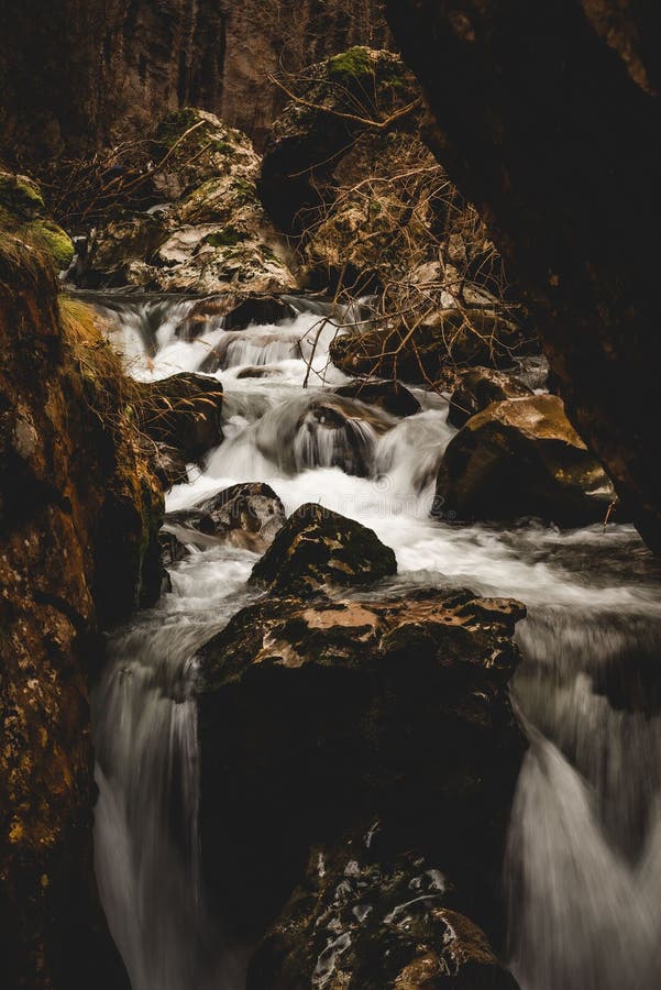A Stream in the Woods Running between Rocks and Trees with Sunlight ...