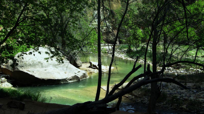 A Stream in Zion National Park by Night Stock Image - Image of stone ...