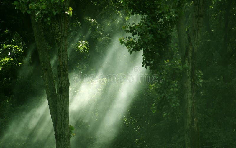 Streaming light stock photo. Image of door, open, enter - 5090706