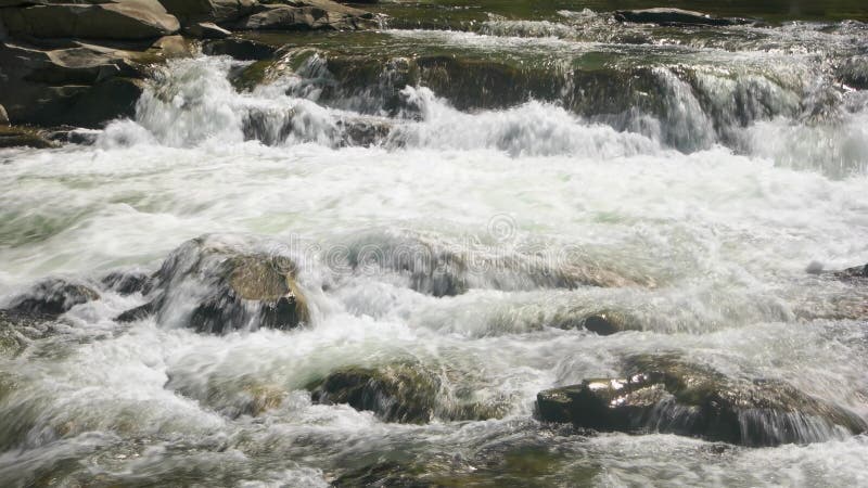 A Streaming River in a Forest in Southern France Stock Footage - Video ...
