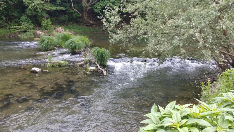 Streaming River by the Tree Stock Image - Image of waterway, pond ...