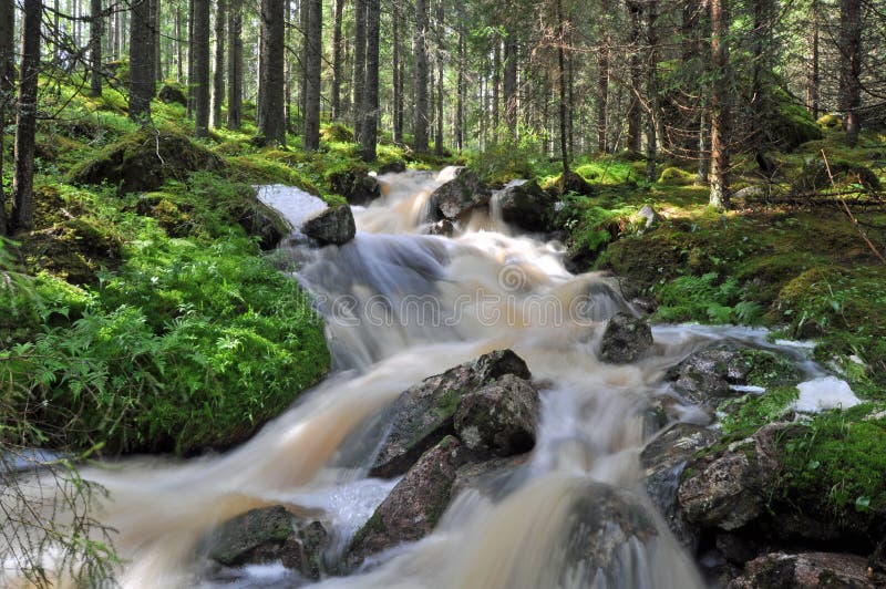 Streaming water stock photo. Image of wilderness, raining - 10334340