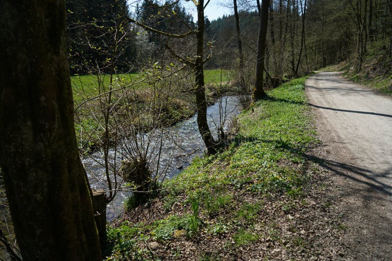 Streaming Water Along the Road in the Forest Stock Image - Image of ...