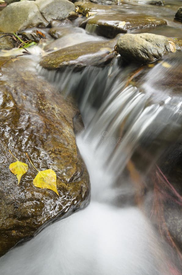 Streaming Water between Rocks with Autumn Leaves Stock Image - Image of ...