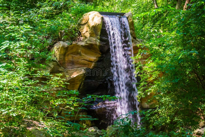 Streaming Waterfall from a Cliff in a Forest Scenery, Nature Background ...