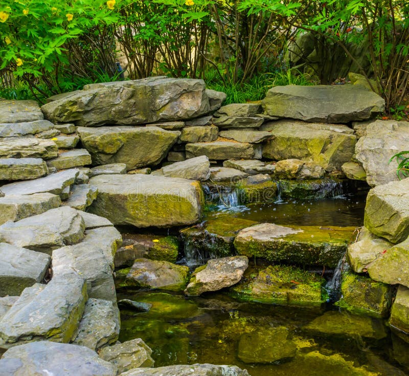 Streaming Waterfall in a Tropical Garden, Beautiful Backyard ...