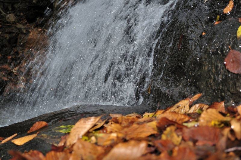 Streamlet stock photo. Image of season, river, creek - 16940354
