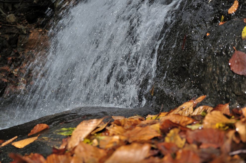 Streamlet stock photo. Image of season, river, creek - 16940354