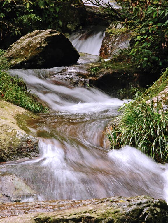 Streamlet stock photo. Image of park, travel, rill, sightseeing - 7079228