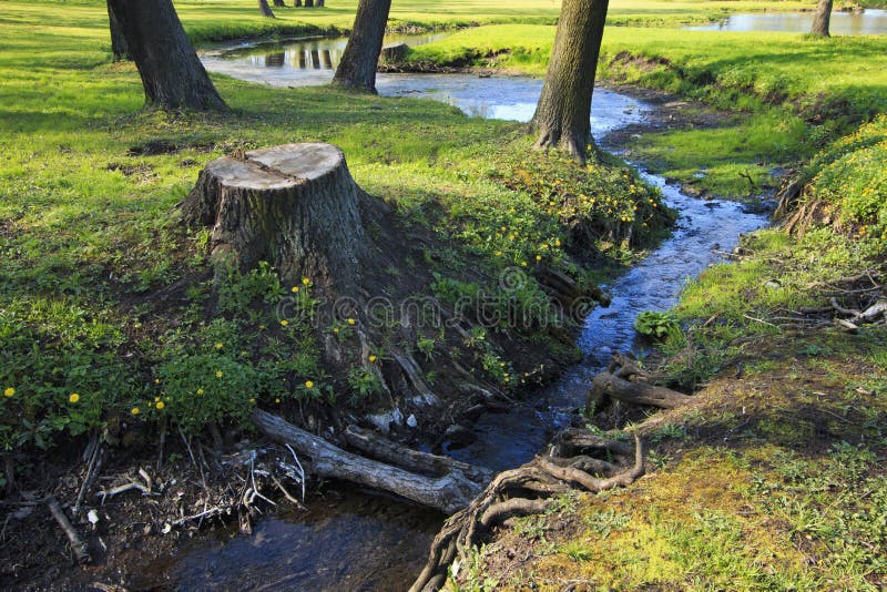 Streamlet Flows Out of a Pond. Stock Image - Image of color, resort ...
