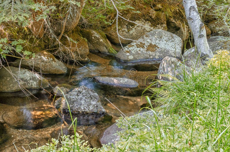 Streamlet stock image. Image of water, stream, small - 61369031