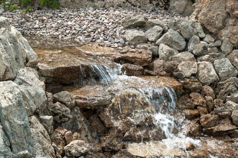 Small Streamlet Feeding Lake With Stagnant Water Among The Jungle ...