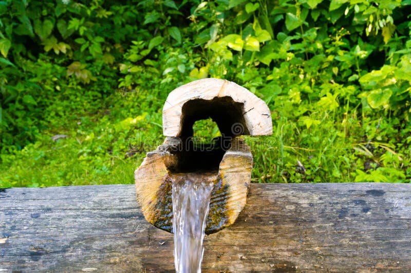 Streamlet stock image. Image of trunk, creek, watercourse - 42909579