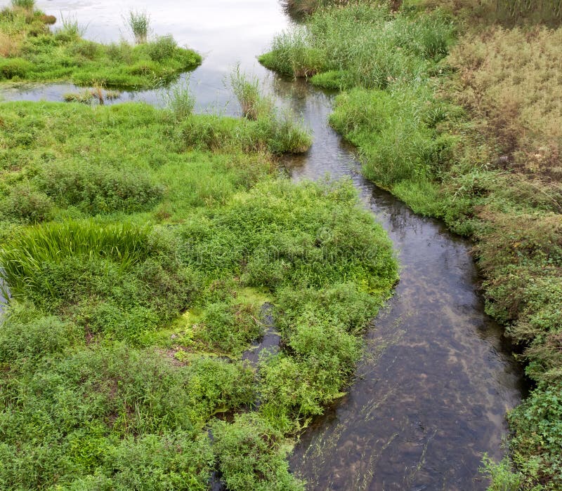 Meandering Stream through a Meadow Stock Photo - Image of meadow, lush ...