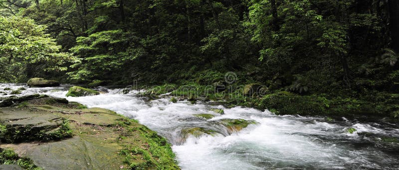 Streams stock photo. Image of waterfall, tributary, tree - 25021420