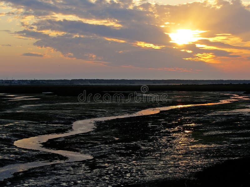 Stream of water stock photo. Image of swamp, stream - 105968204