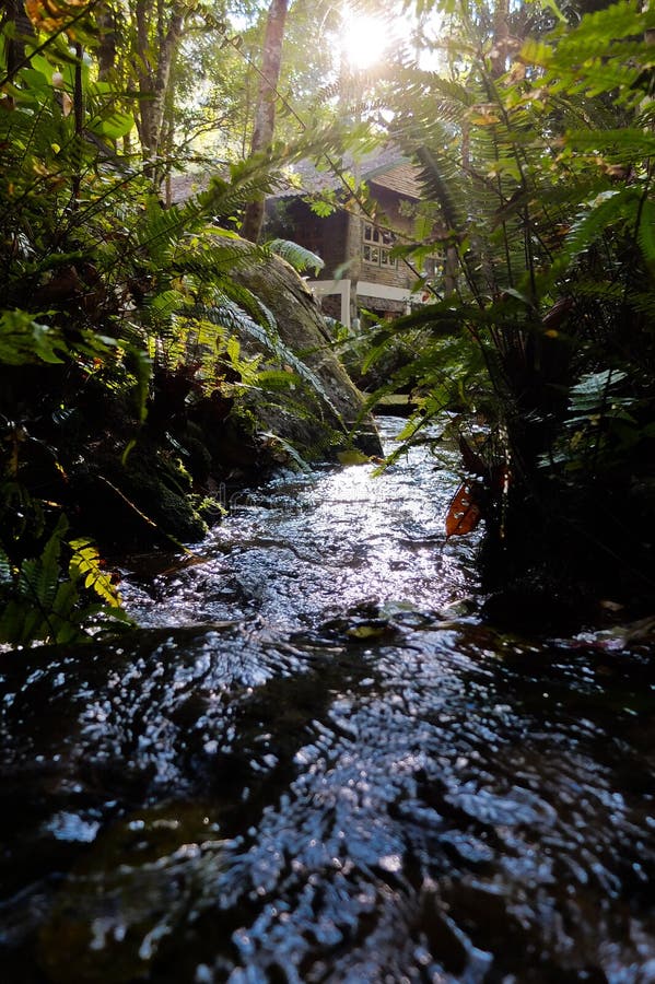 Streams that Flow through the House in Morning Stock Image - Image of ...