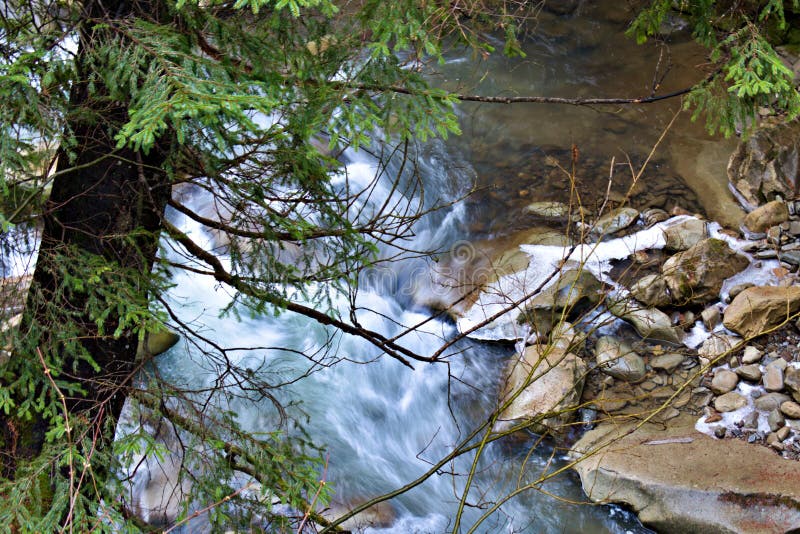 Streams of Mountain River through Green Branches Stock Photo - Image of ...