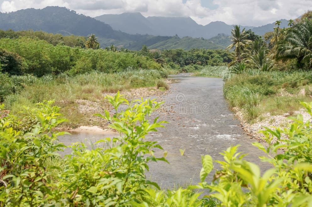 The Streams in Nature Flow from the Mountains Stock Image - Image of ...