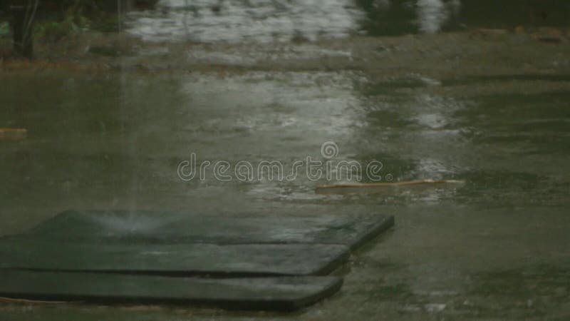 Streams of Rain on the Pavement Stock Video - Video of closeup, shower ...