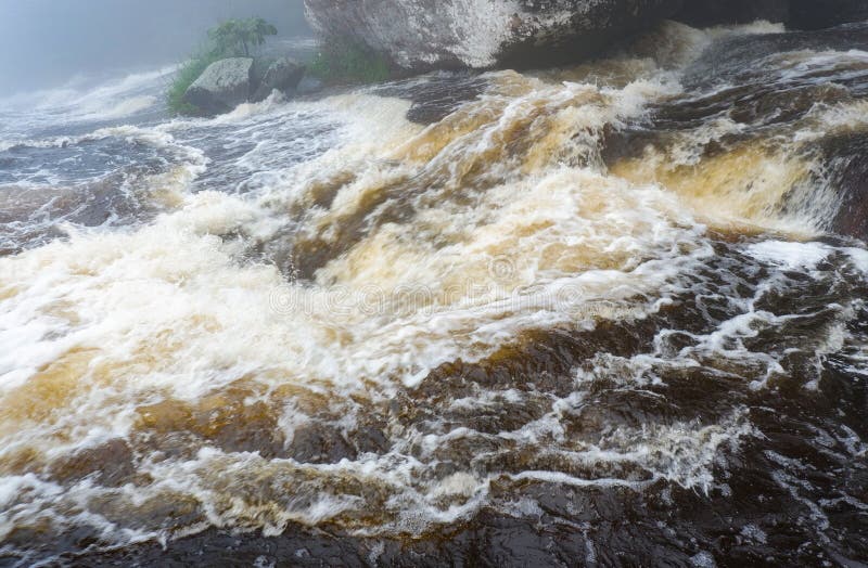 Streams Rapid Flow of Water Stock Image - Image of foam, landscape ...