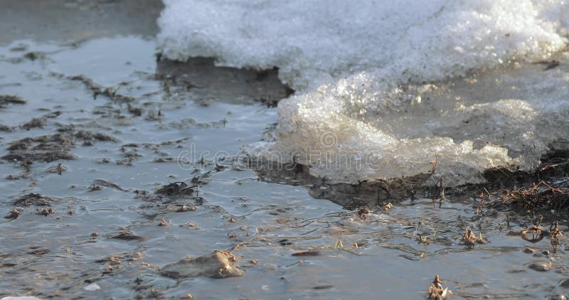 Melting snow and ice stock video. Video of snow, melt - 143048513