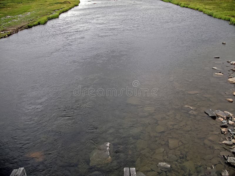 Streams of Water in a Small River. the Flow of Stock Image - Image of ...