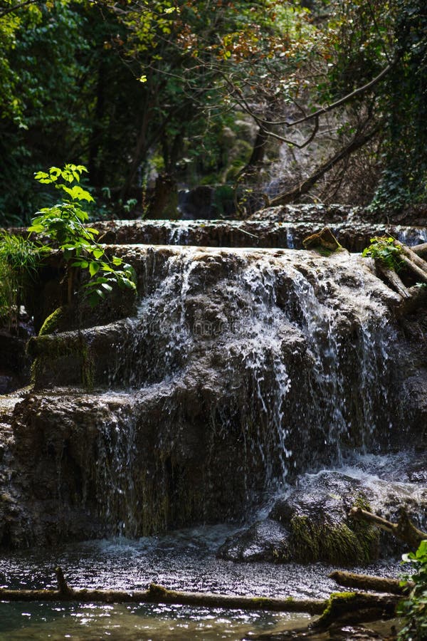 Streams of the Waterfall Fall from the Rock among the Greenery. Stock ...