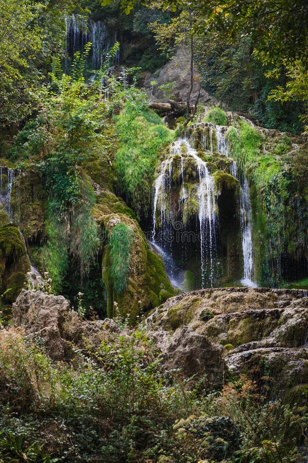 Streams of the Waterfall Fall from the Rock among the Greenery. Stock ...