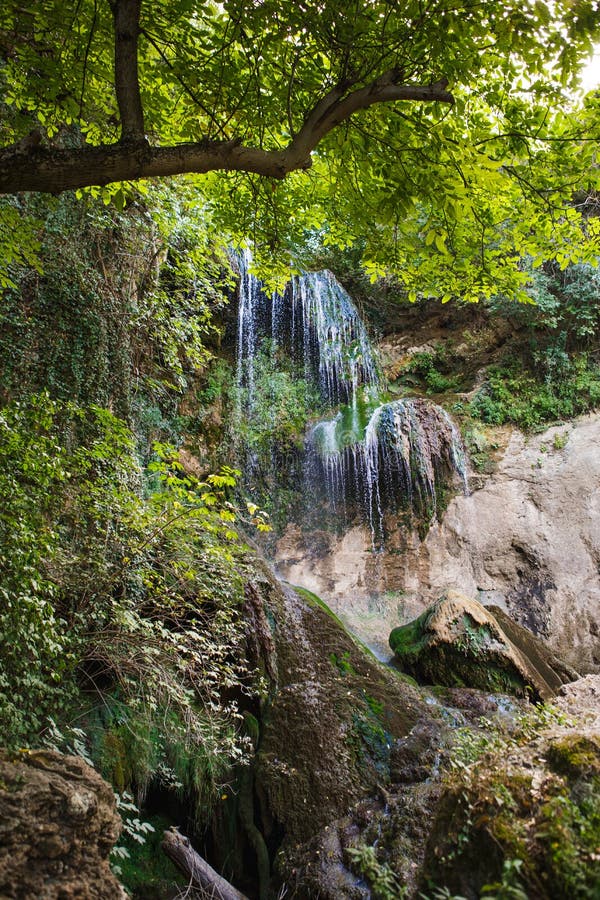 Streams of the Waterfall Fall from the Rock among the Greenery. Stock ...