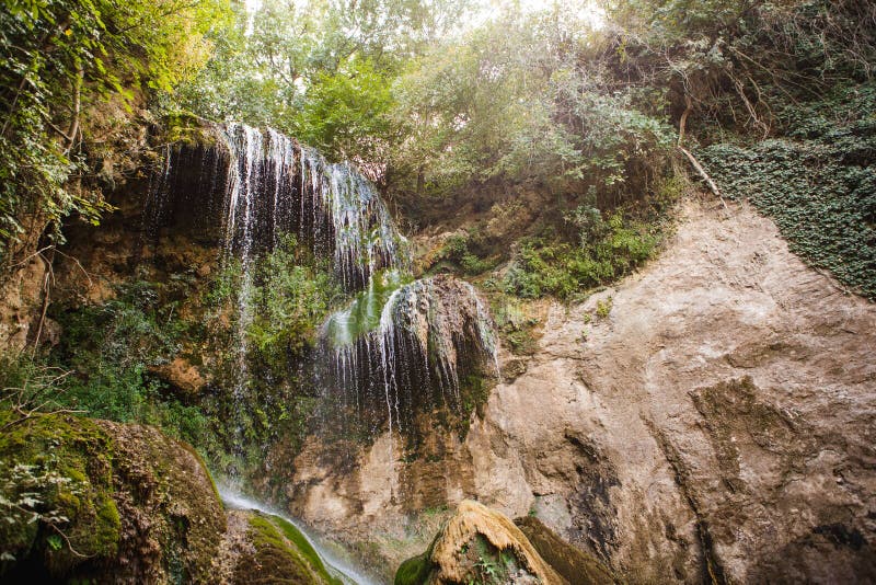 Streams of the Waterfall Fall from the Rock among the Greenery. Stock ...