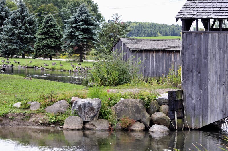 Streamside Scenic stock image. Image of summer, outdoors - 16107729