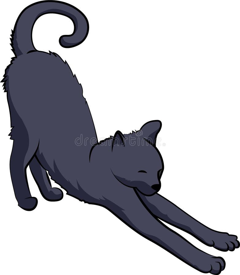 Cute Cat Stretching Muscles Yoga Pose Stock Vector Illustration Of