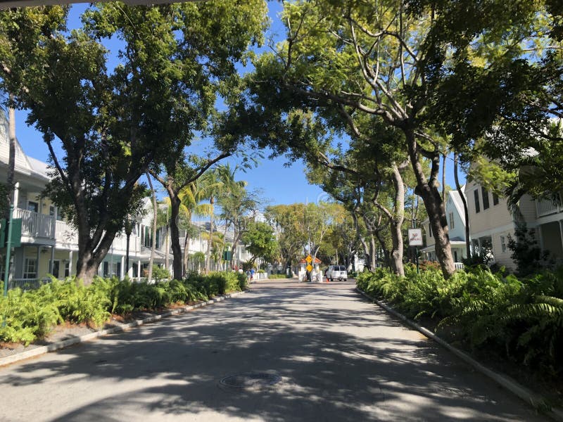 Street with an archway stock photo. Image of archway - 177295208
