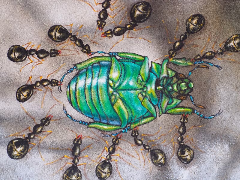 Street Art in Duesseldorf - Graffiti of an Insect, Green Bedbug Stock ...